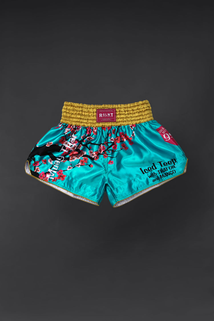 RSLNT Fight Wear - Muay Thai Shorts and Equipment - Athletic Wear